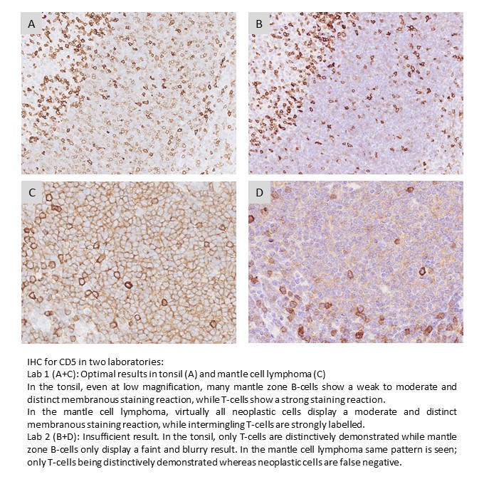 NordiQC - Immunohistochemical Quality Control